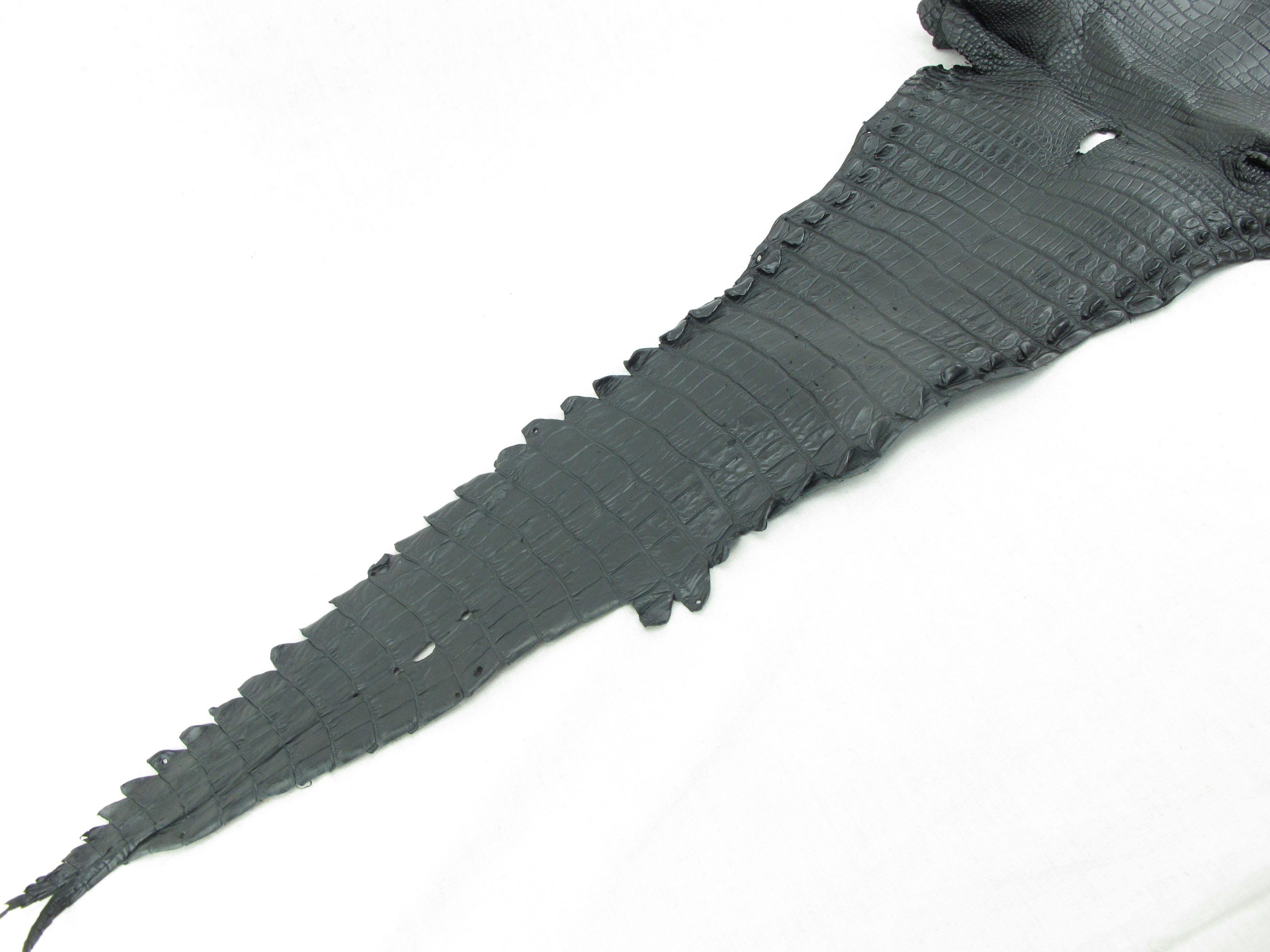 Genuine Crocodile Belly Skin Leather Hide Pelt – PELGIO