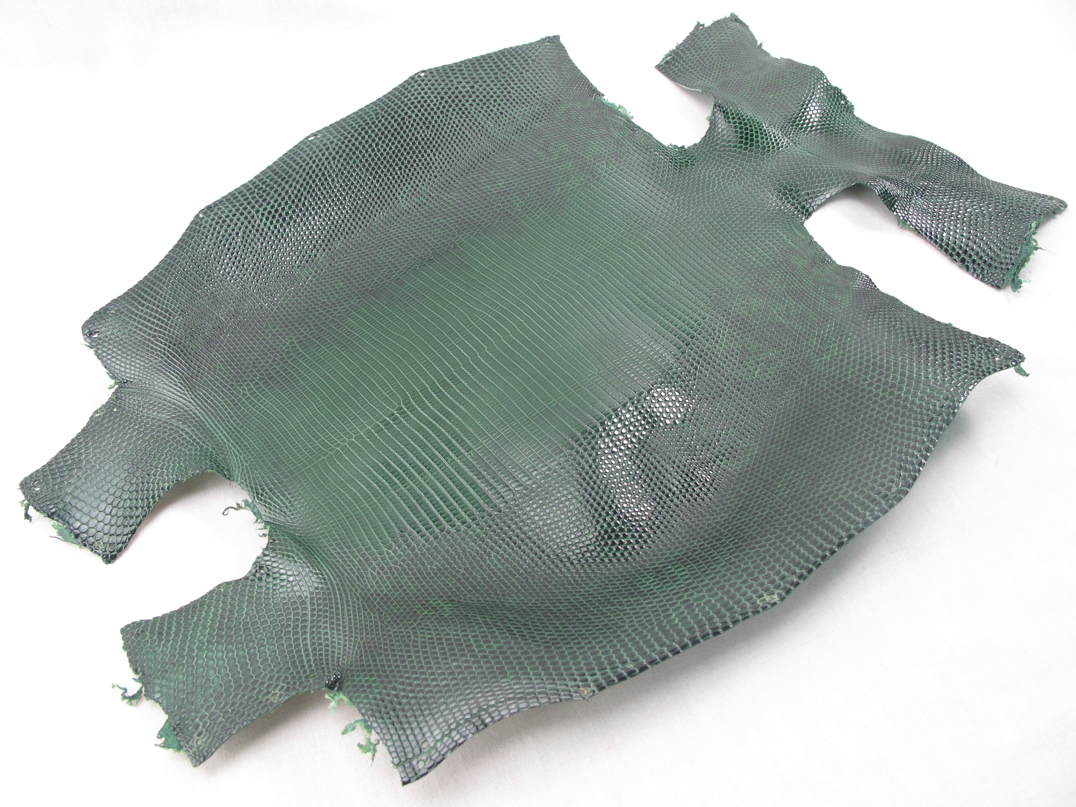 Genuine Water Monitor Lizard Belly Skin Leather Hide Pelt Moss Green ...