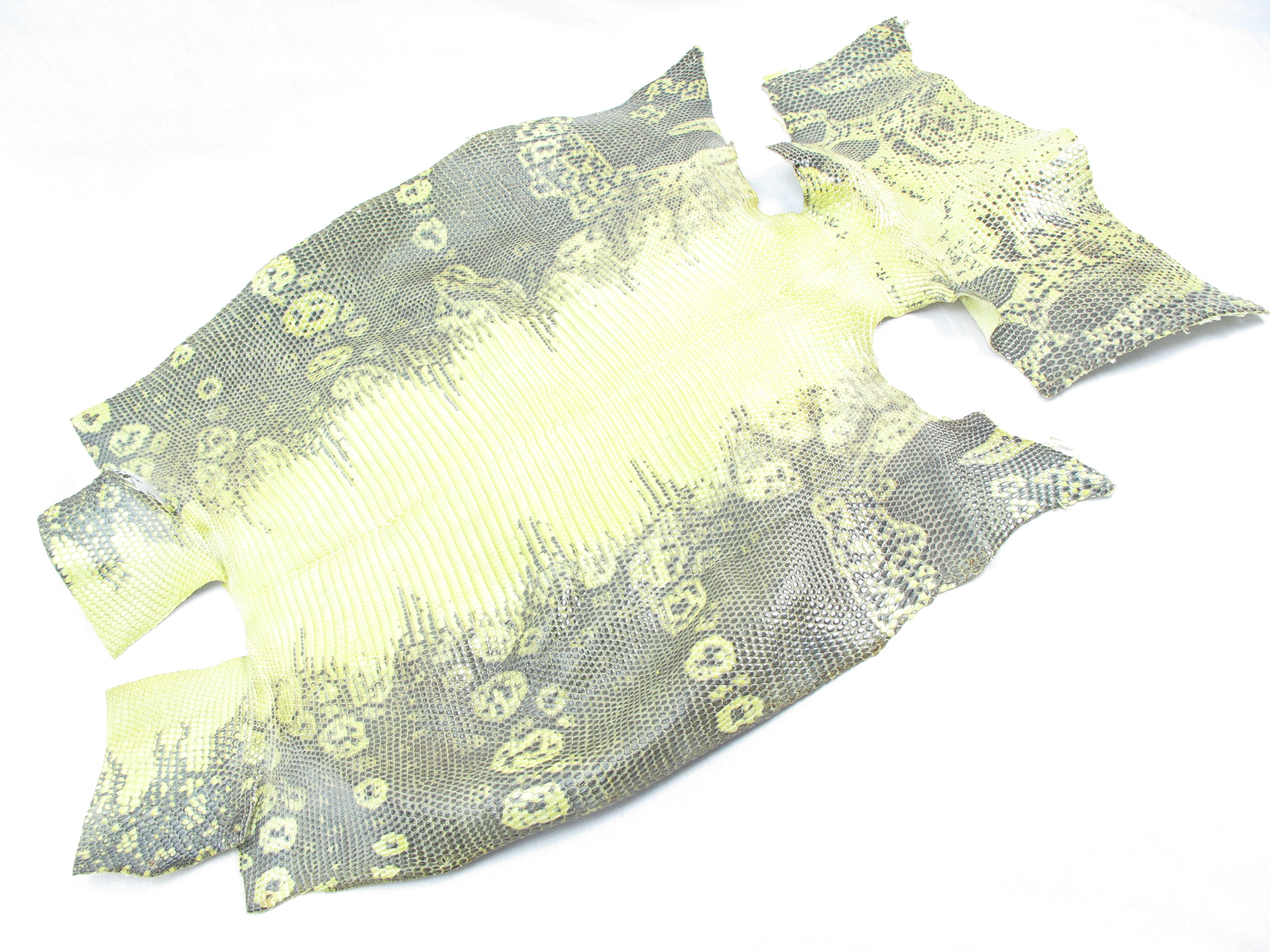 Genuine Water Monitor Lizard Belly Skin Leather Hide Pelt Sulfur Yello ...