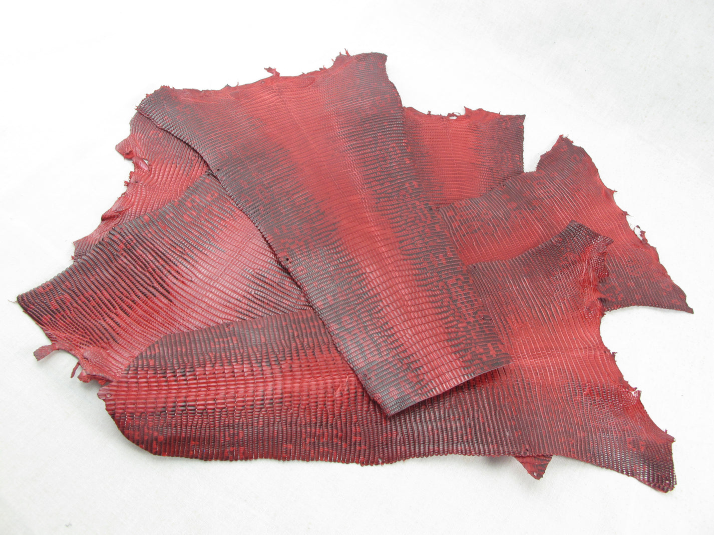 Genuine Lizard Skin Leather Scraps Hide Pelt 100 grams – PELGIO