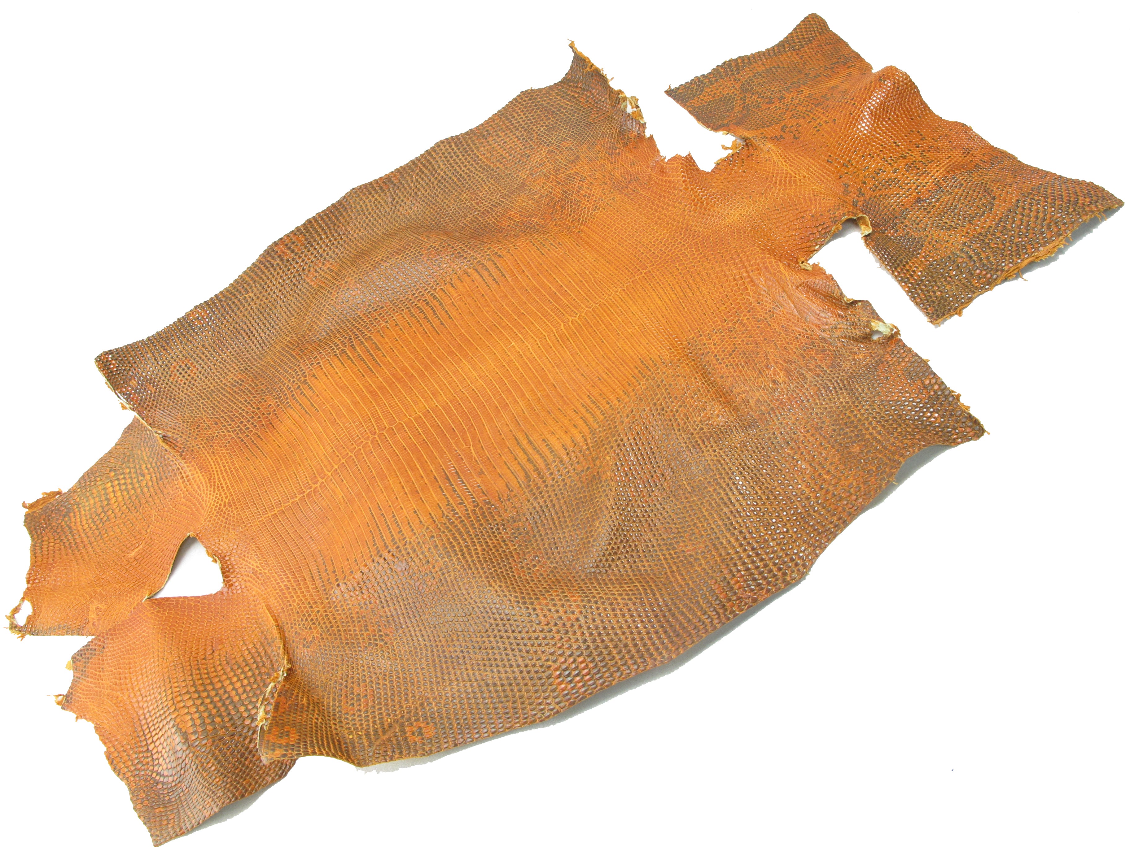 Genuine Water Monitor Lizard Belly Skin Leather Hide Pelt Clay Brown ...