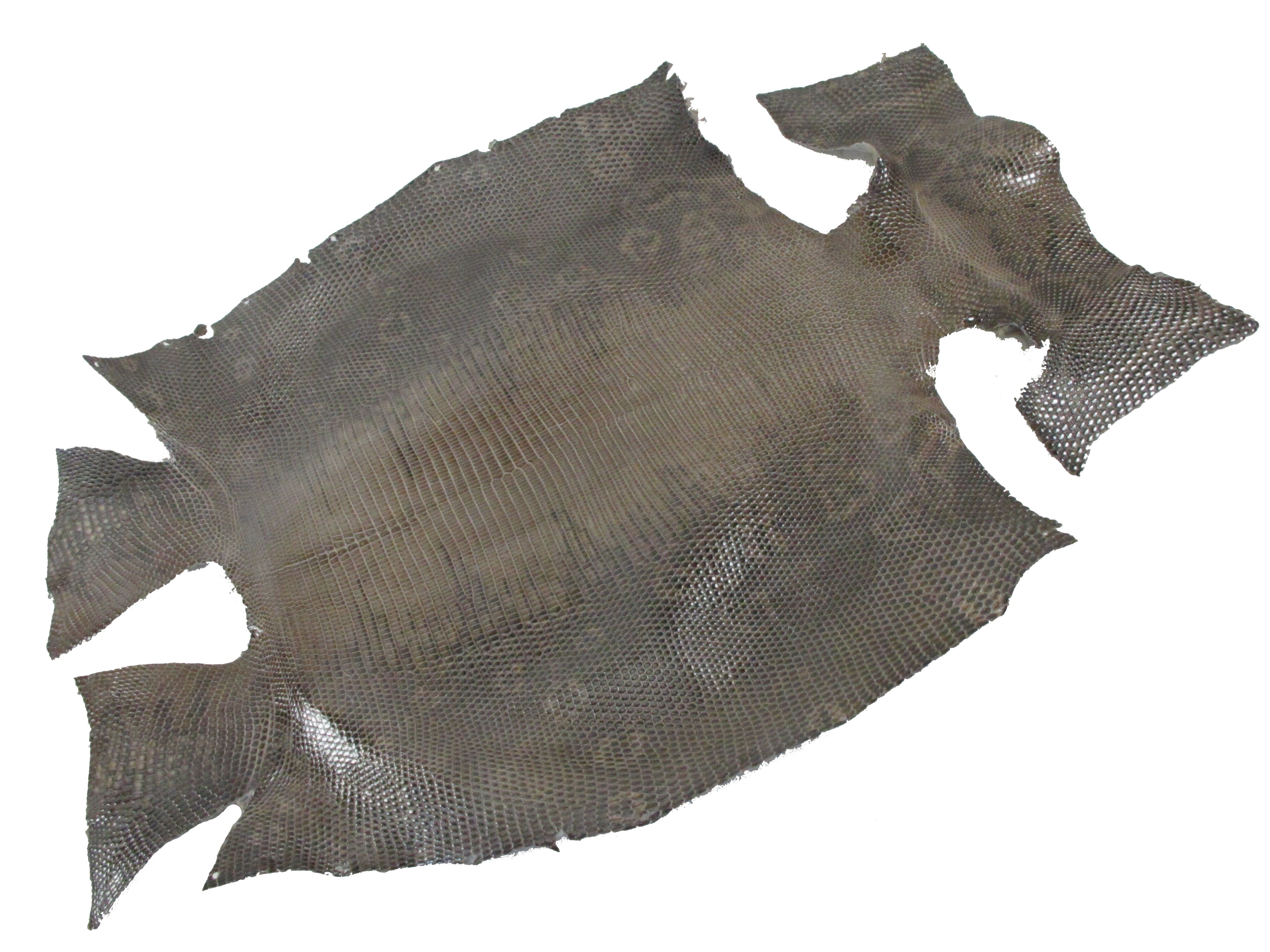 Genuine Water Monitor Lizard Belly Skin Leather Hide Pelt Brown Grey ...