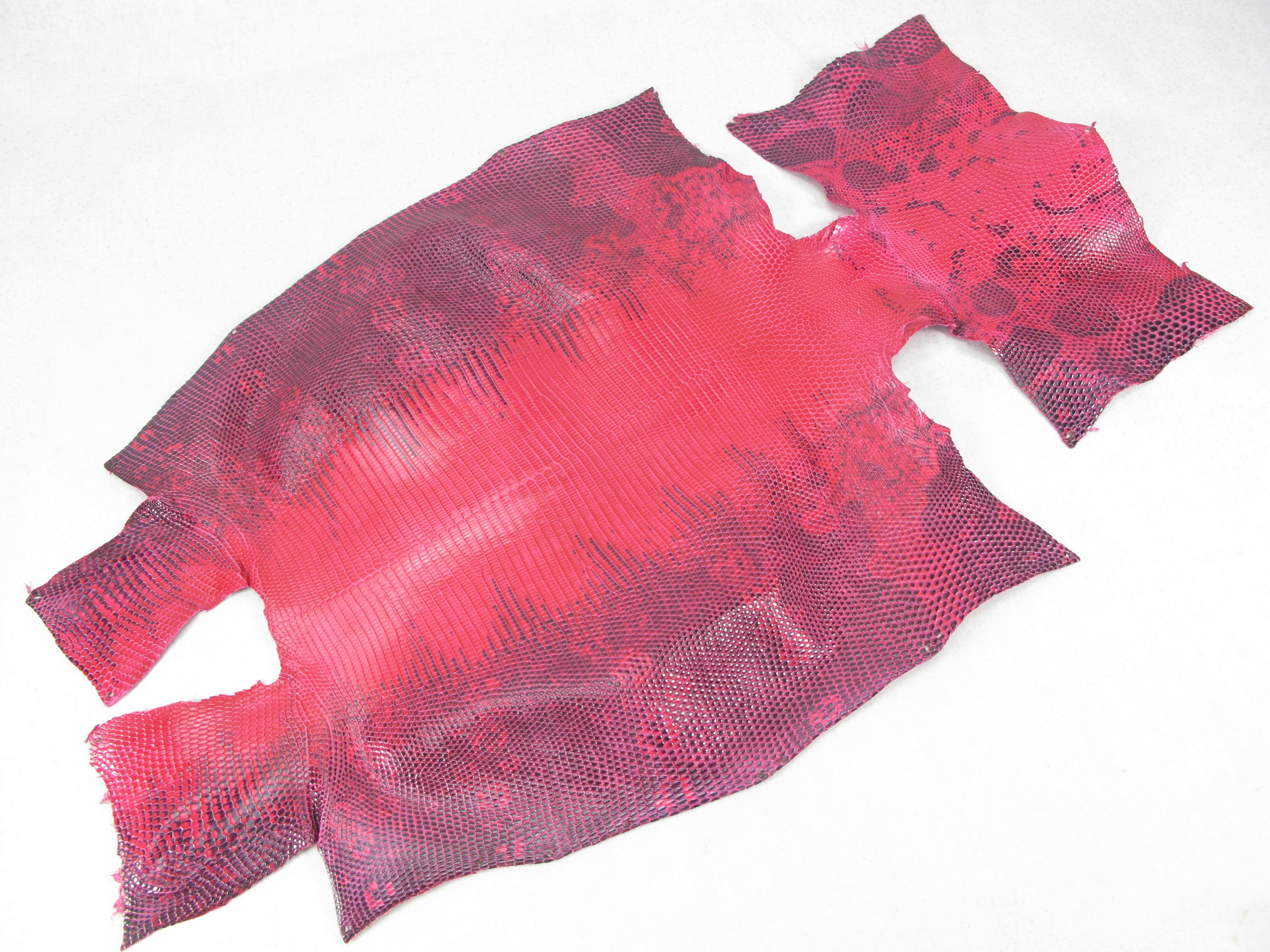 Genuine Water Monitor Lizard Belly Skin Leather Hide Pelt Raspberry Pi ...
