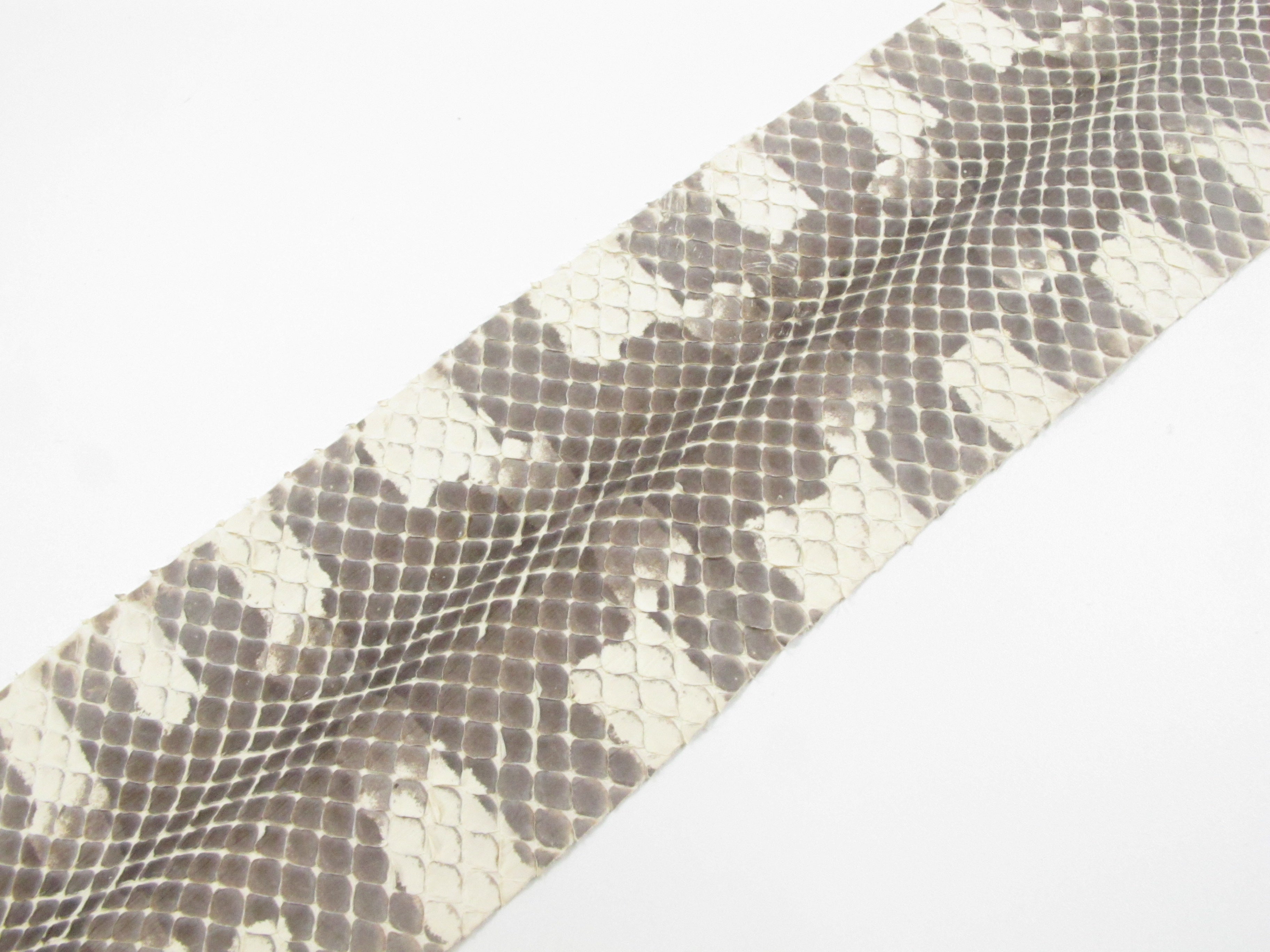 Genuine Pipe Snake Skin Leather Hide Pelt – PELGIO