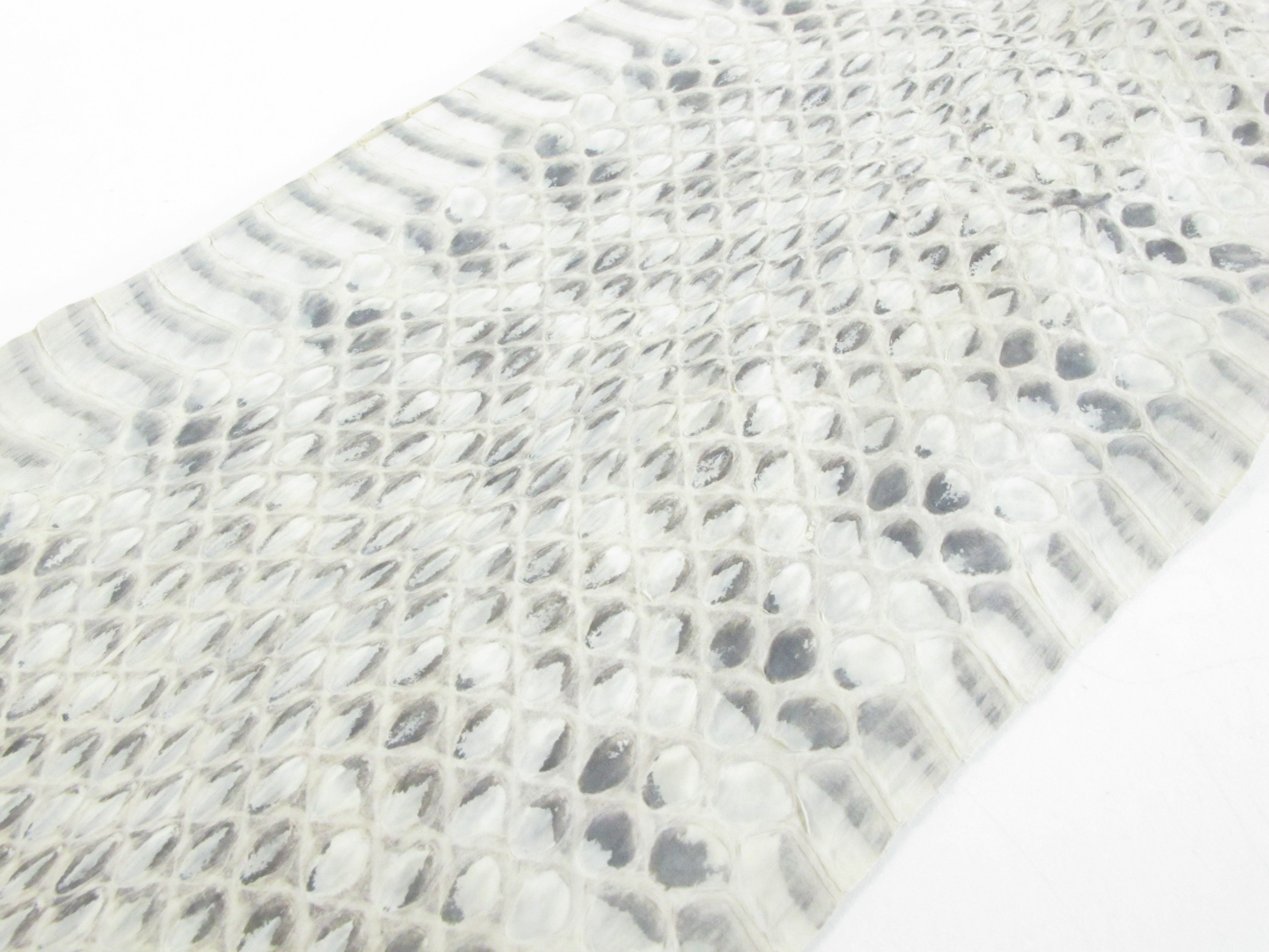 Genuine Rat Snake Skin Leather Hide Pelt – PELGIO