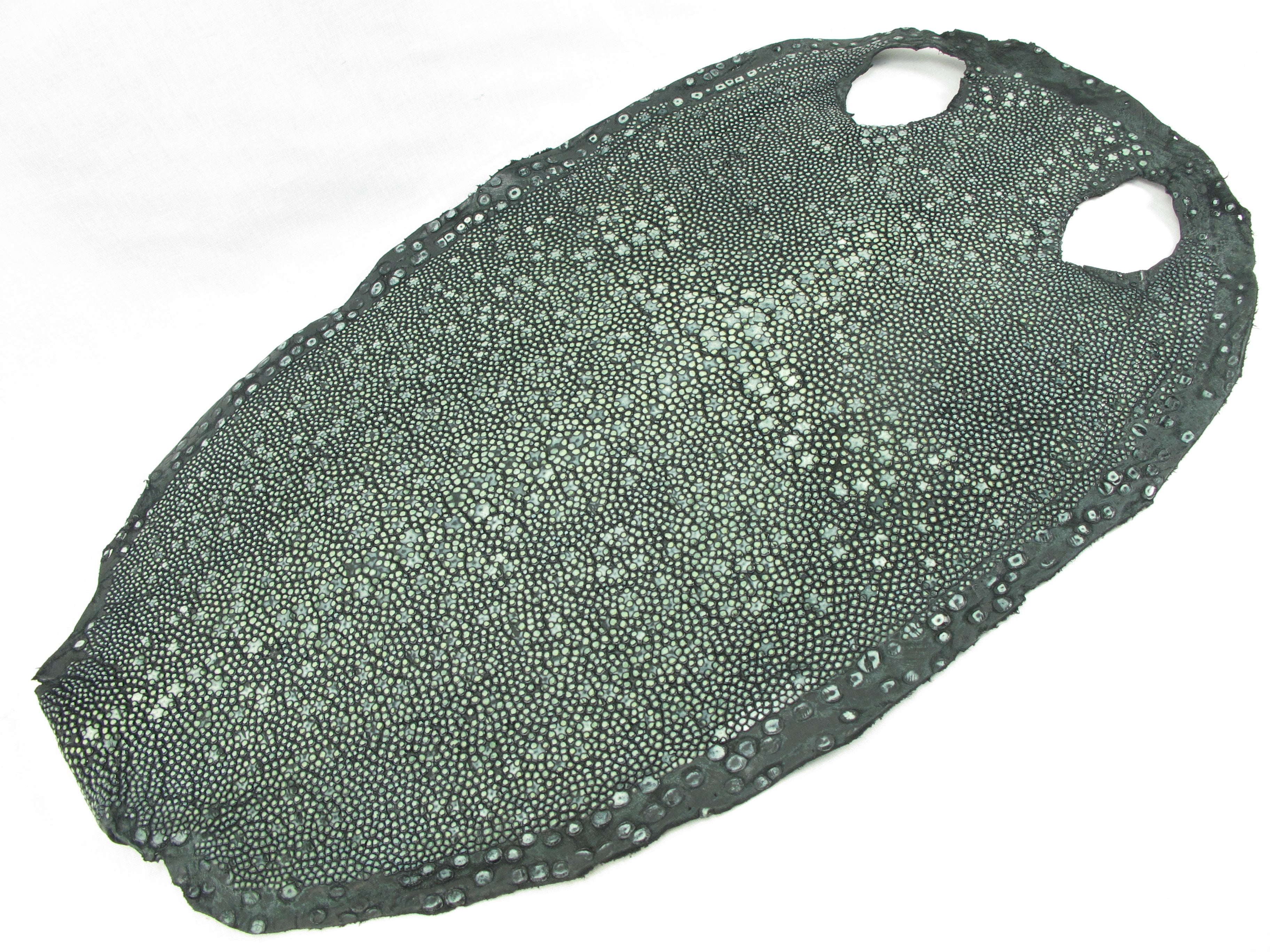 Genuine Polished Porcupine Stingray Skin Leather Hide Pelt Black – PELGIO