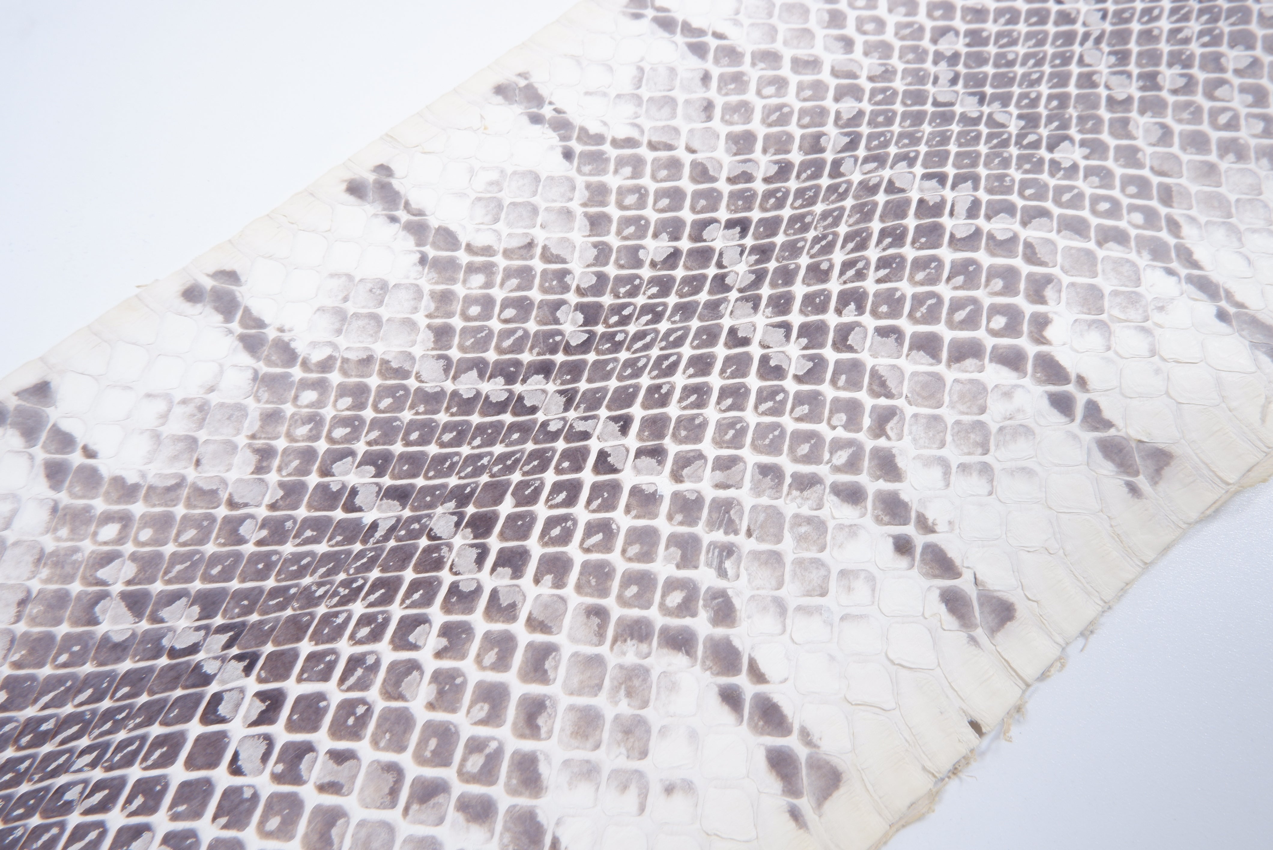 Genuine Tiger Snake Skin Leather Hide Pelt – PELGIO